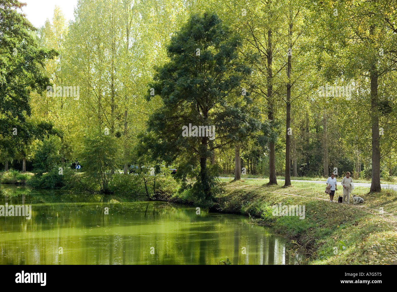 Canal napoleon hi-res stock photography and images - Alamy