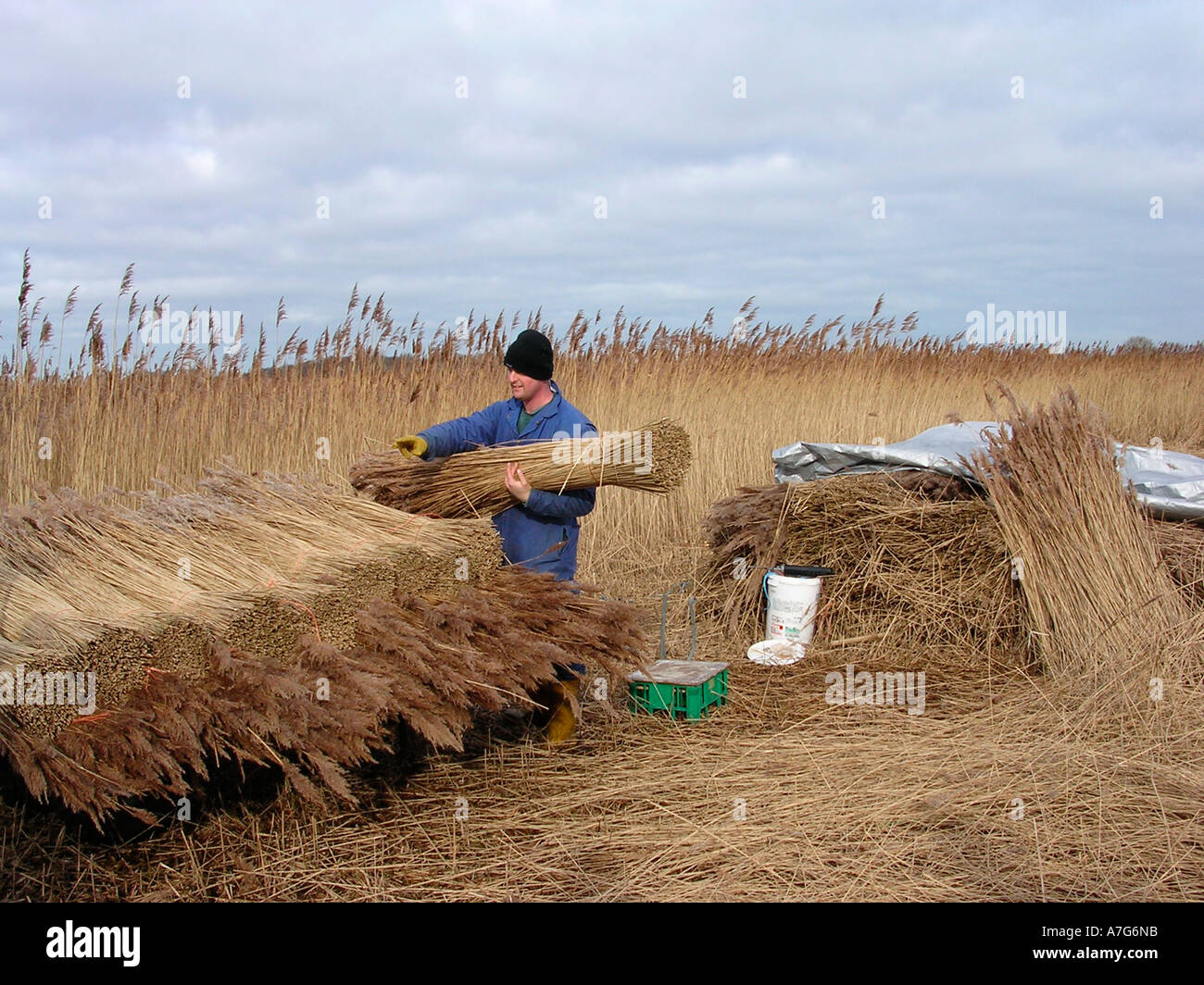Hard backbreaking work hi-res stock photography and images - Alamy