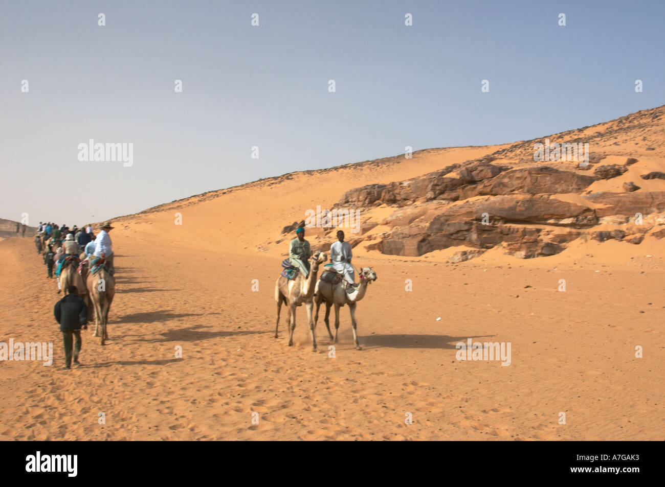 Ships of Desert for Egyptian Tourists - Camel ride on West Bank of the ...