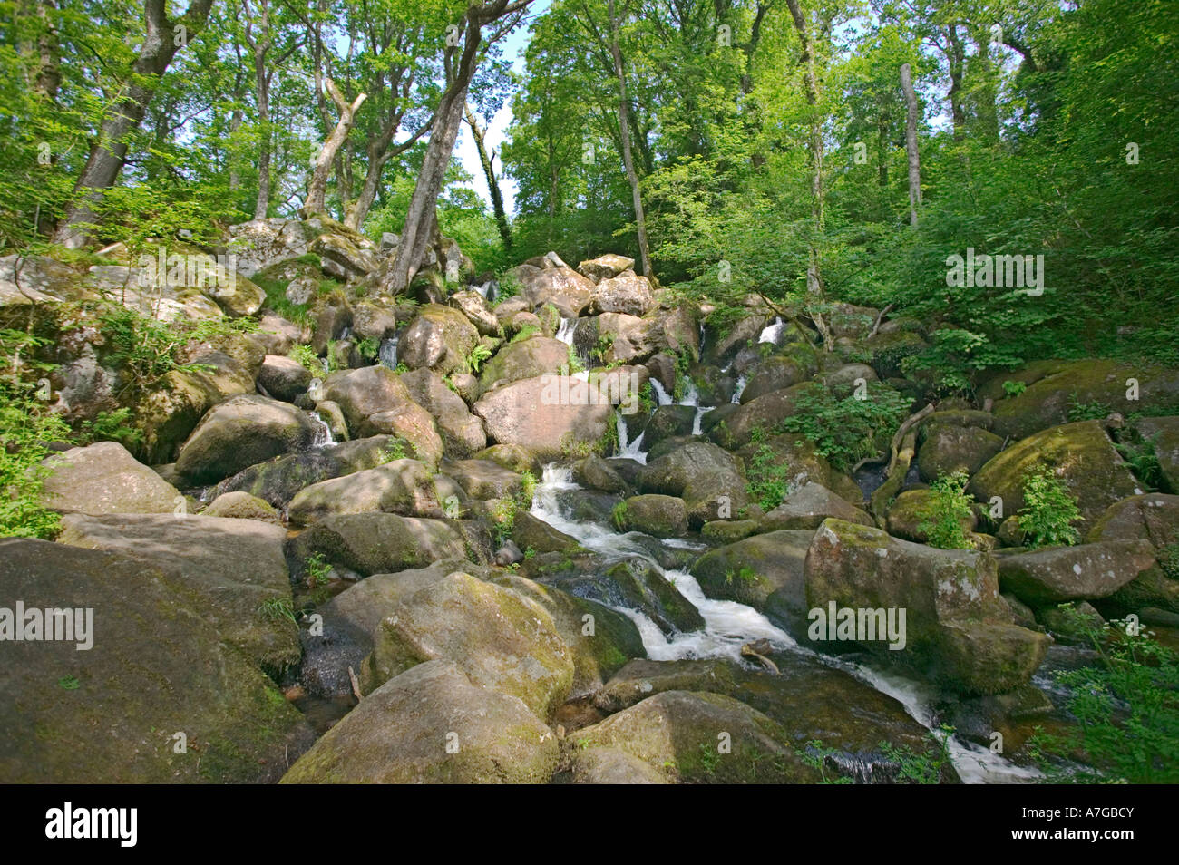 Becky Falls nr Manaton Dartmoor National Park Devon Great Britain Stock ...