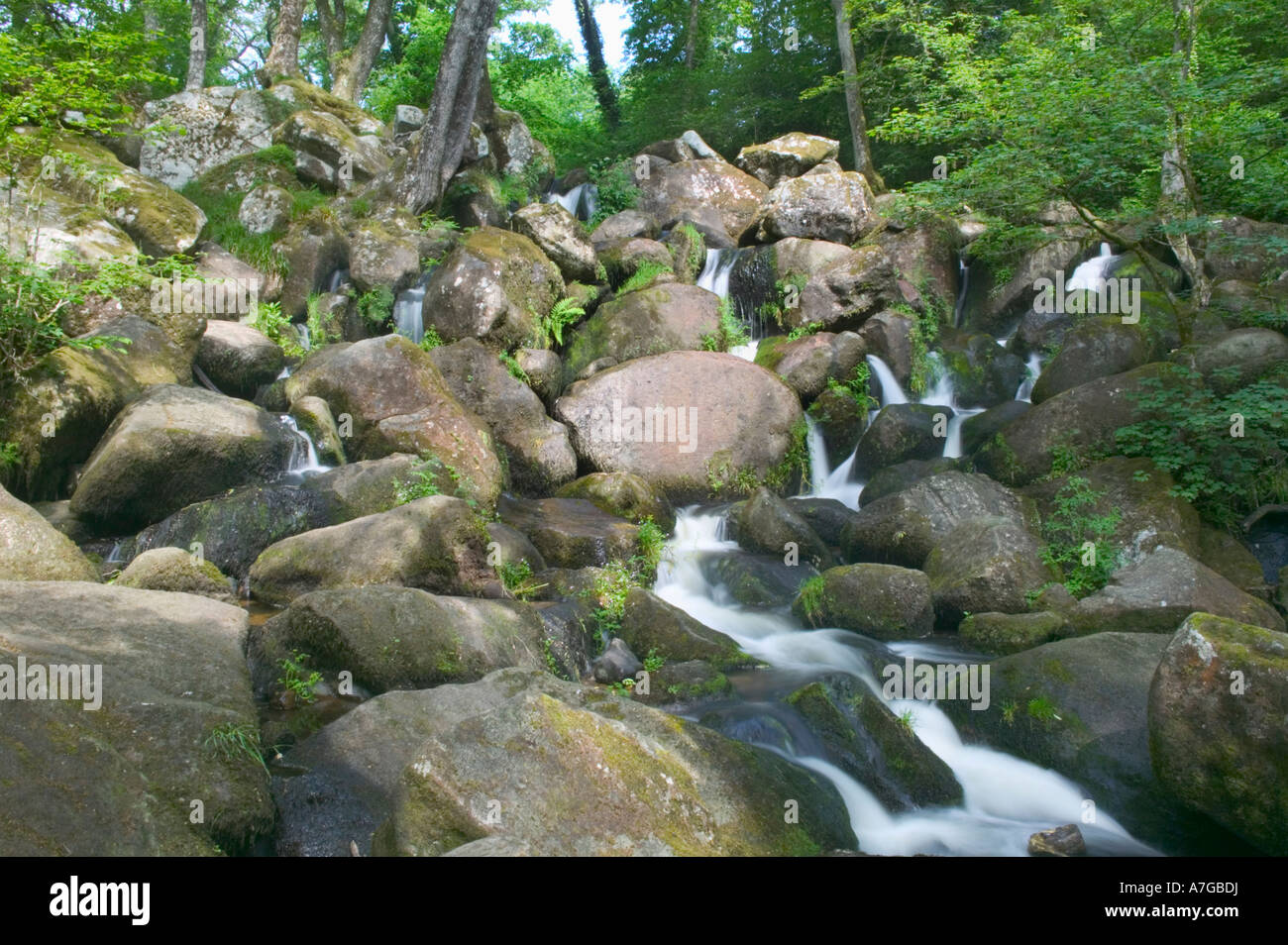 Becky Falls nr Manaton Dartmoor National Park Devon Great Britain Stock ...