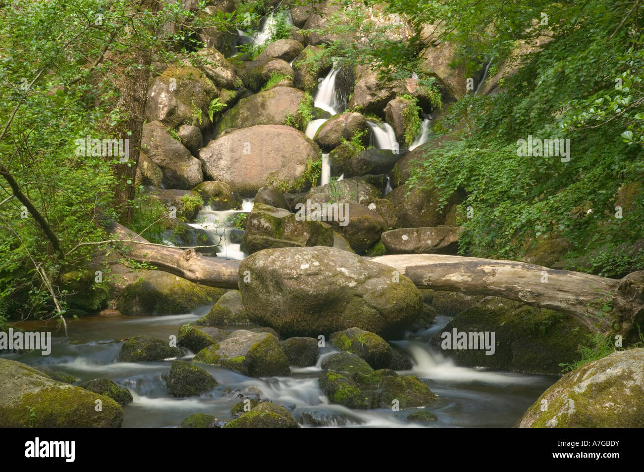 The river and lower part of the falls Becky Falls nr Manaton Dartmoor ...