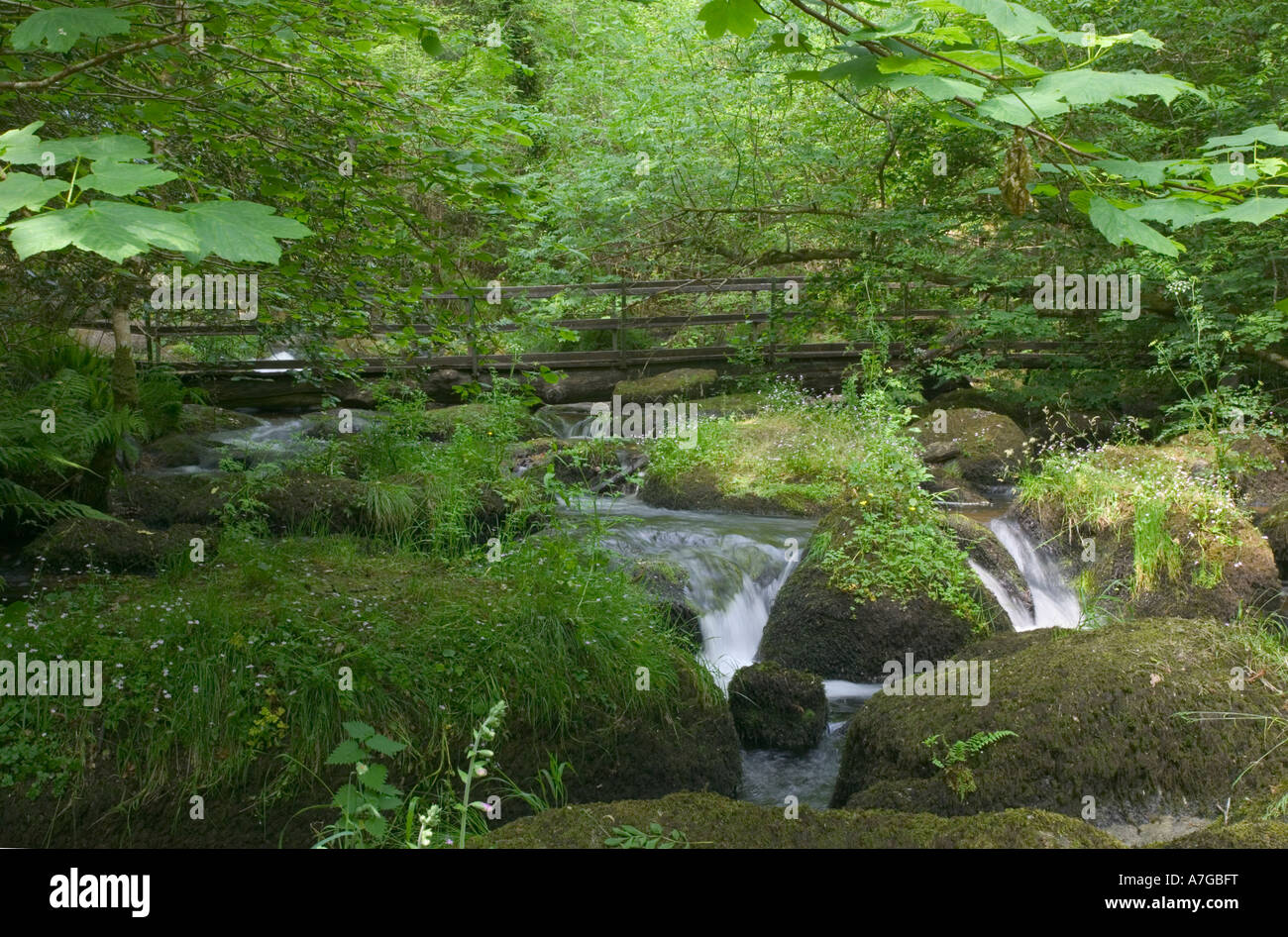 Becky falls woodland park hi-res stock photography and images - Alamy