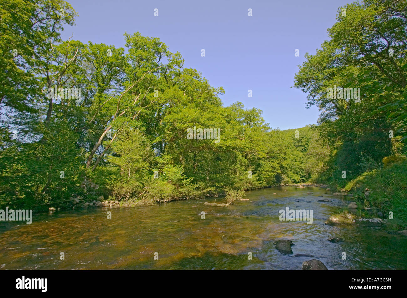 Dart Valley Nature Reserve Stock Photos & Dart Valley Nature Reserve ...
