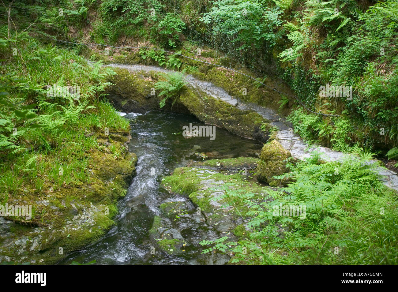 The River Lyd and the footpath through Lydford Gorge Dartmoor National ...