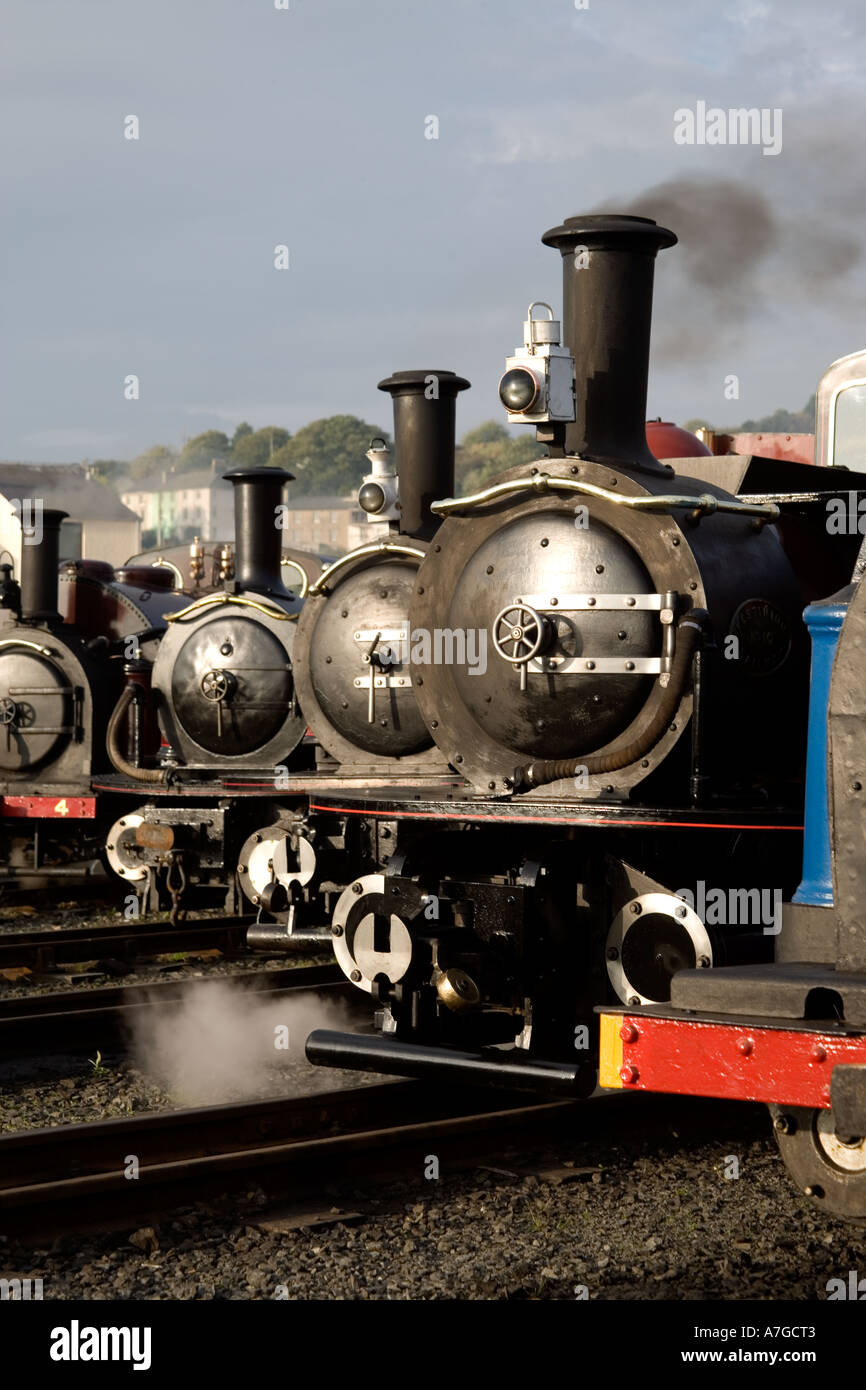 Engine line up at Porthmadog Harbour station,Ffestiniog steam railway ...