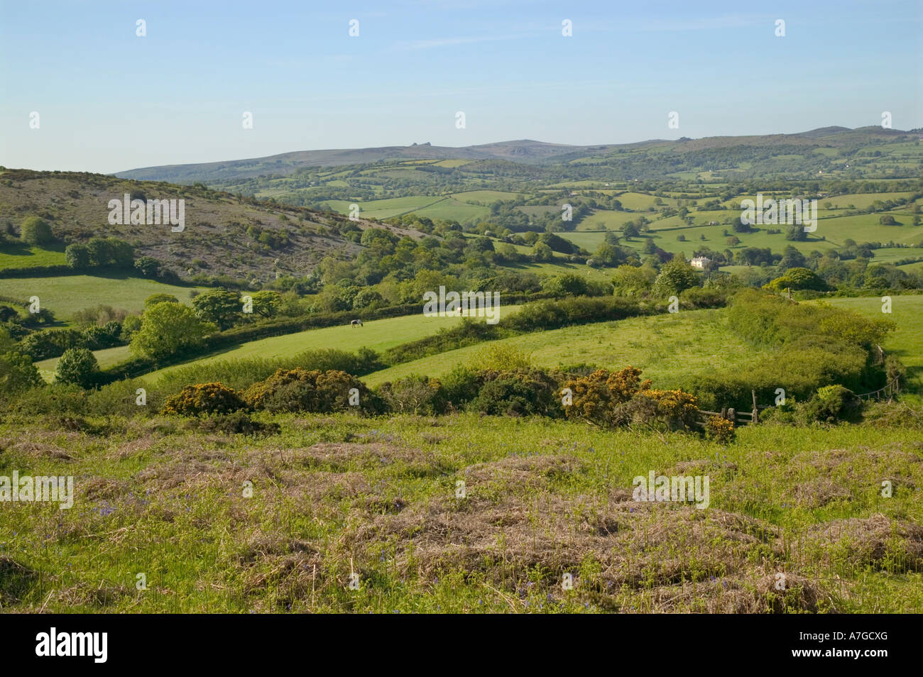 Mardon hi-res stock photography and images - Alamy