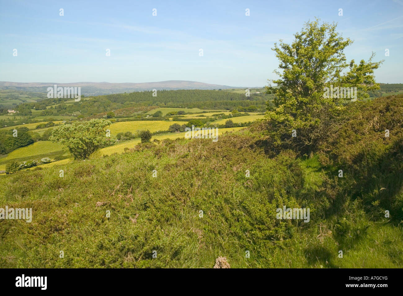 Mardon hi-res stock photography and images - Alamy