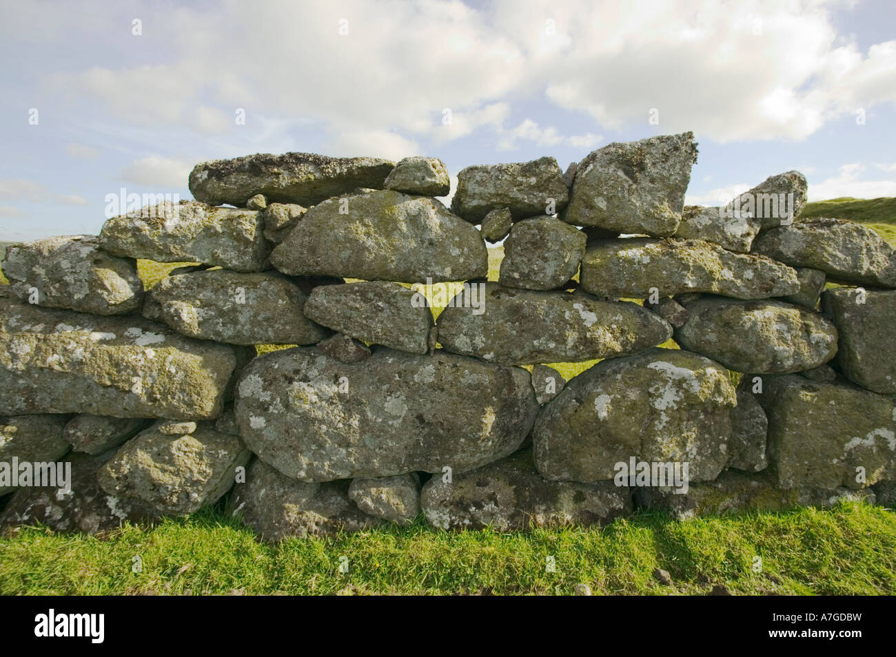 Dry stone wall on moorland nr Princetown Dartmoor National Park Devon ...