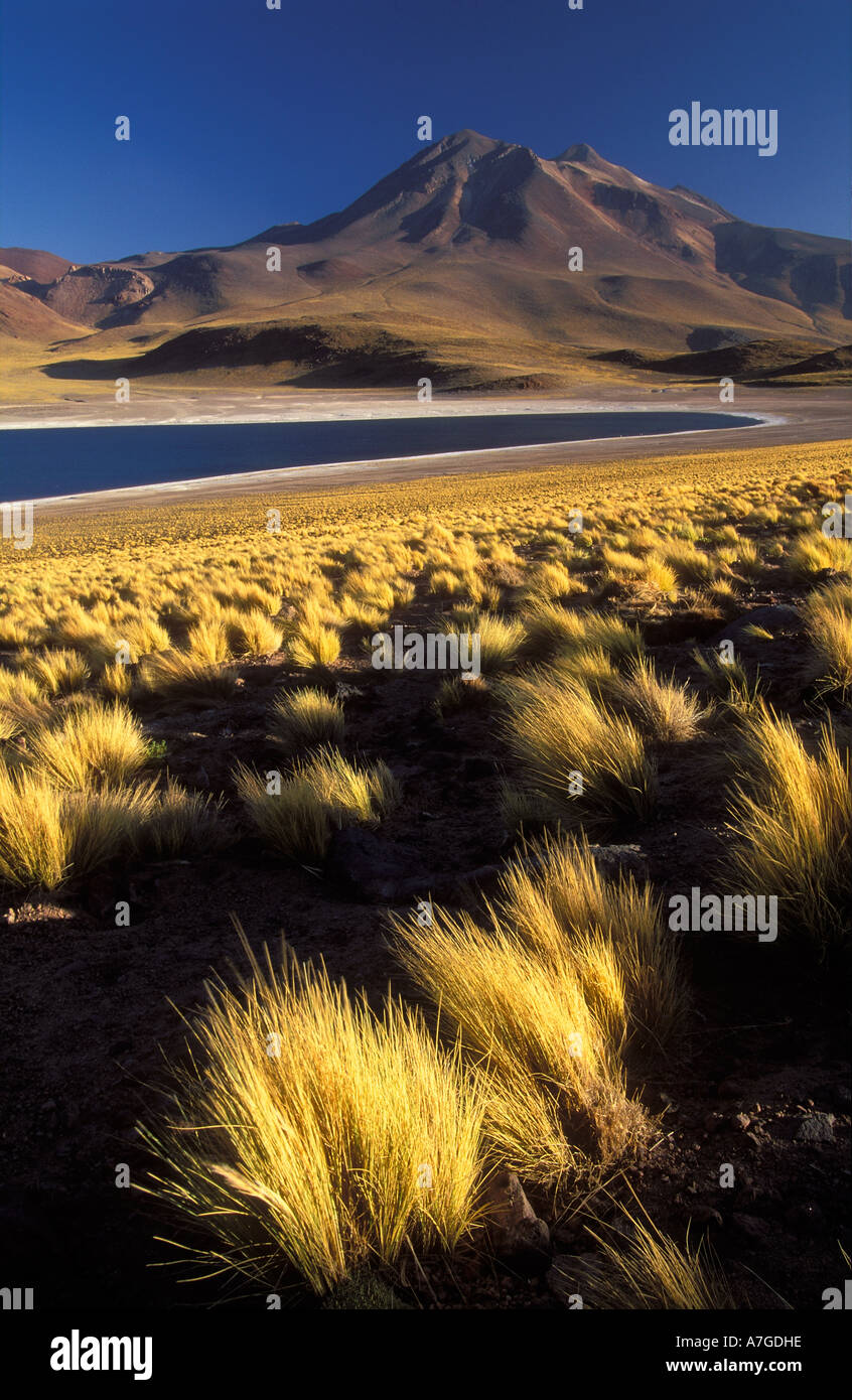 Cerro miniques hi-res stock photography and images - Alamy