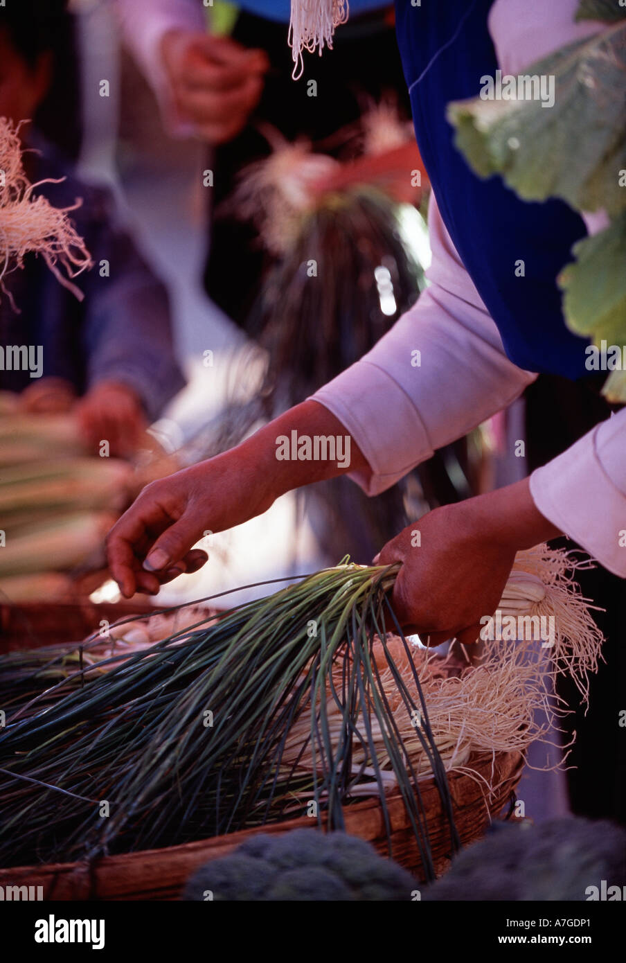 Women selling vegetables at the market spring onions hi-res stock ...