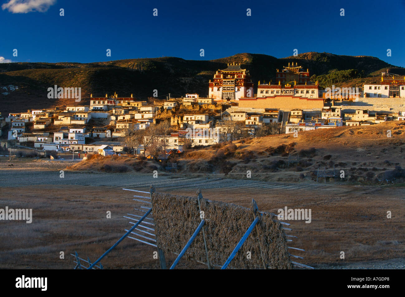 Jietang Songlin Monastery outisde Zhongdian with traditional farming ...