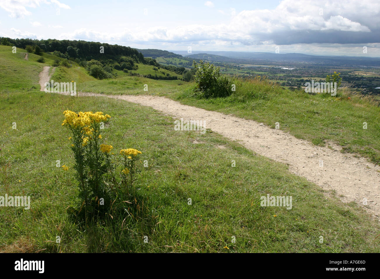View from top of Birdlip Hill in Gloucestershire Stock Photo - Alamy