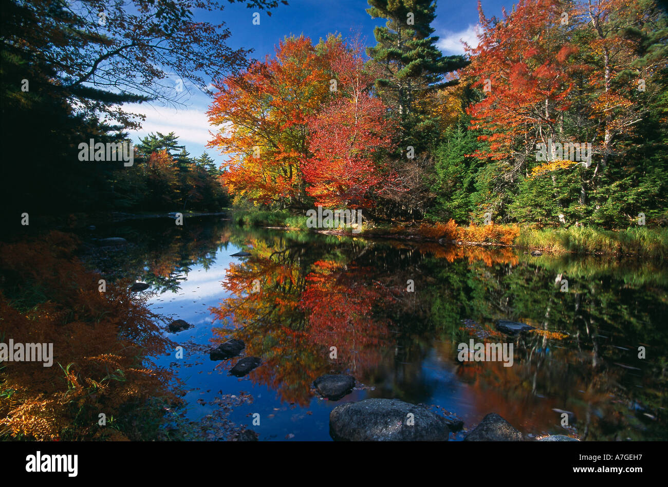 Autumn Mersey River Kejimkujik National Park Nova Scotia Canada Stock ...