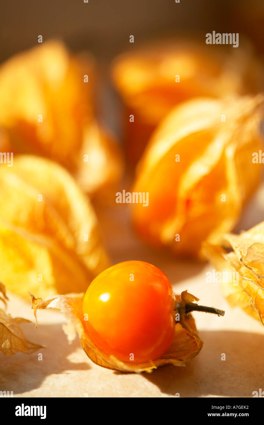 fruit Physalis Cape gooseberry Chinese lantern Stock Photo - Alamy