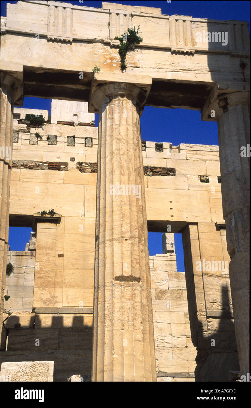 Porpylaia hi-res stock photography and images - Alamy