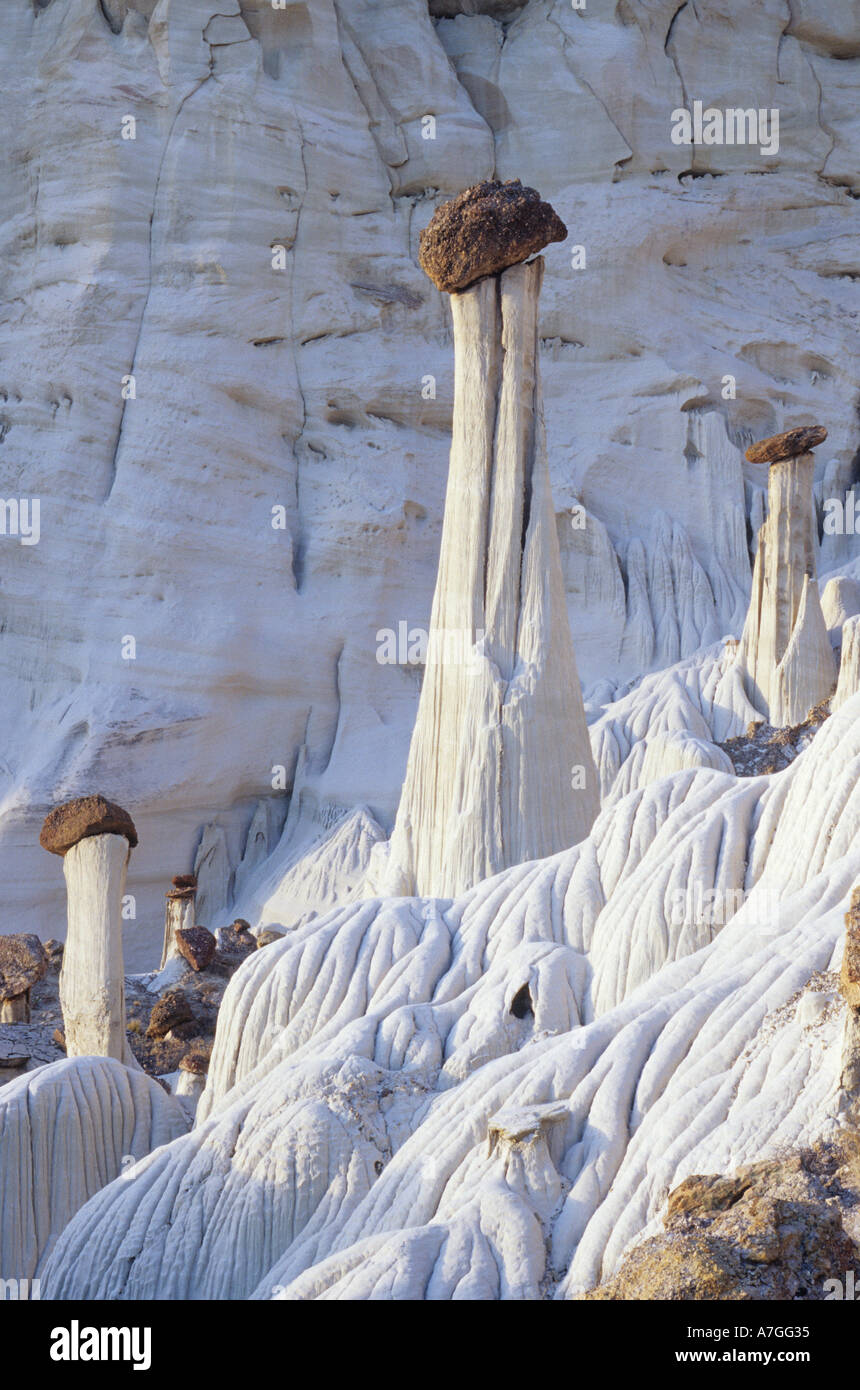 America, North America, Arizona, Lake Powell Area, The mushrooms rock ...