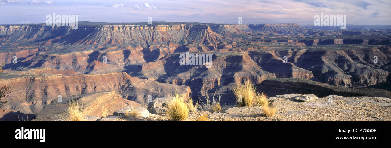 Grand Canyon-Parashant National Monument, Arizona, USA. Twin Spring ...