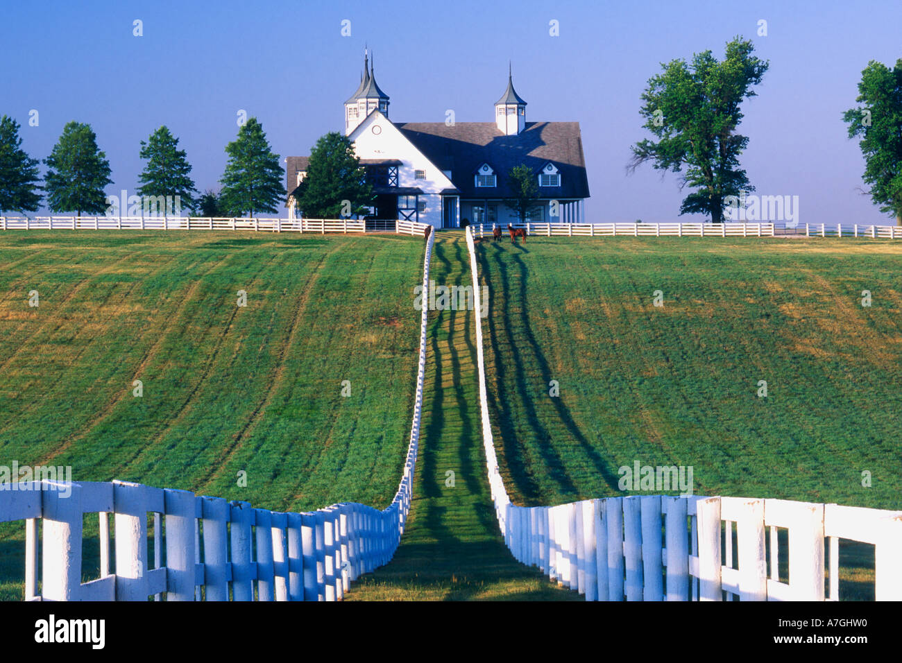 Parallel fences of historic horse farm outside Lexington Kentucky Stock ...
