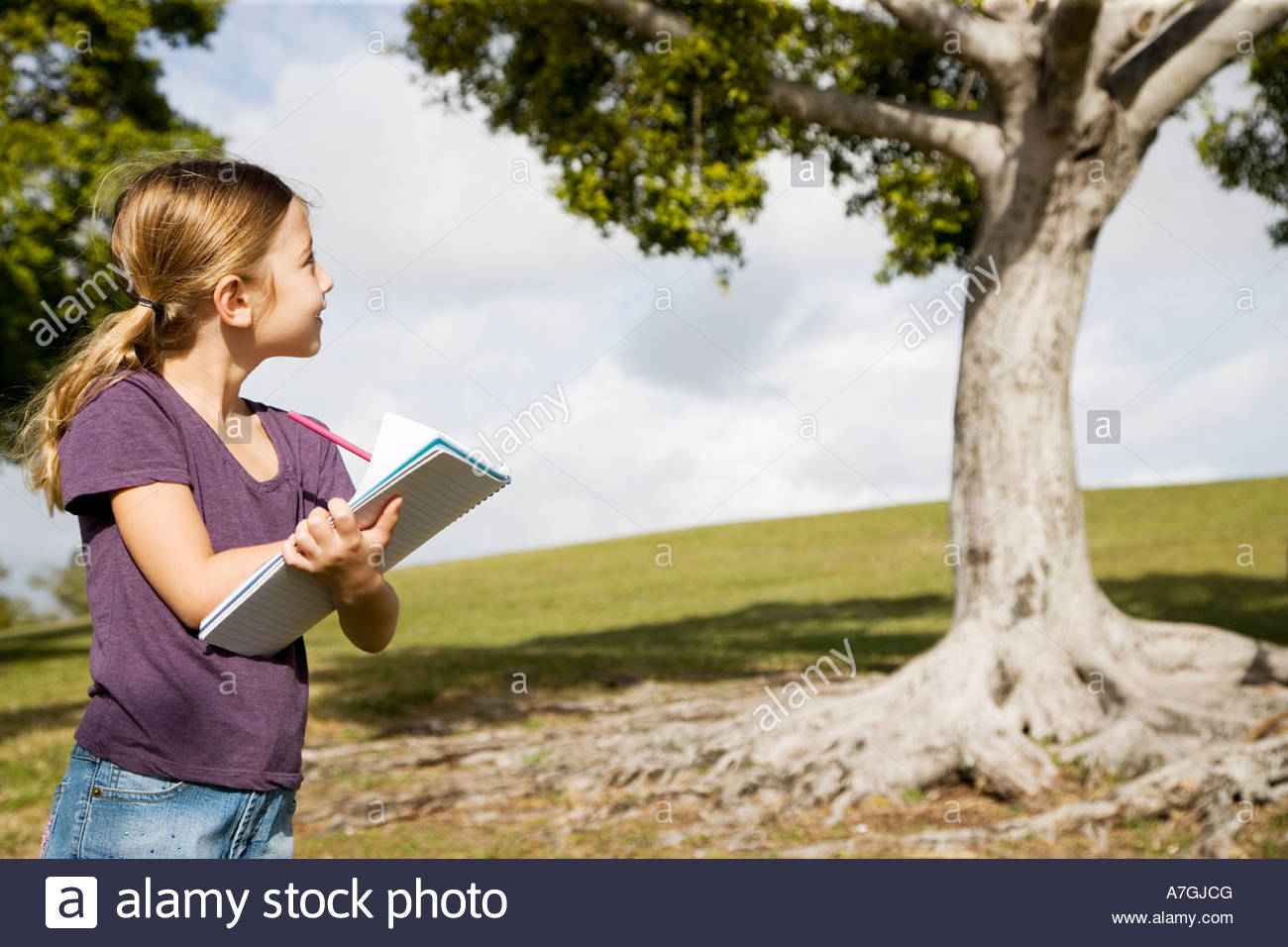 Tree Sketch Stock Photos & Tree Sketch Stock Images - Alamy