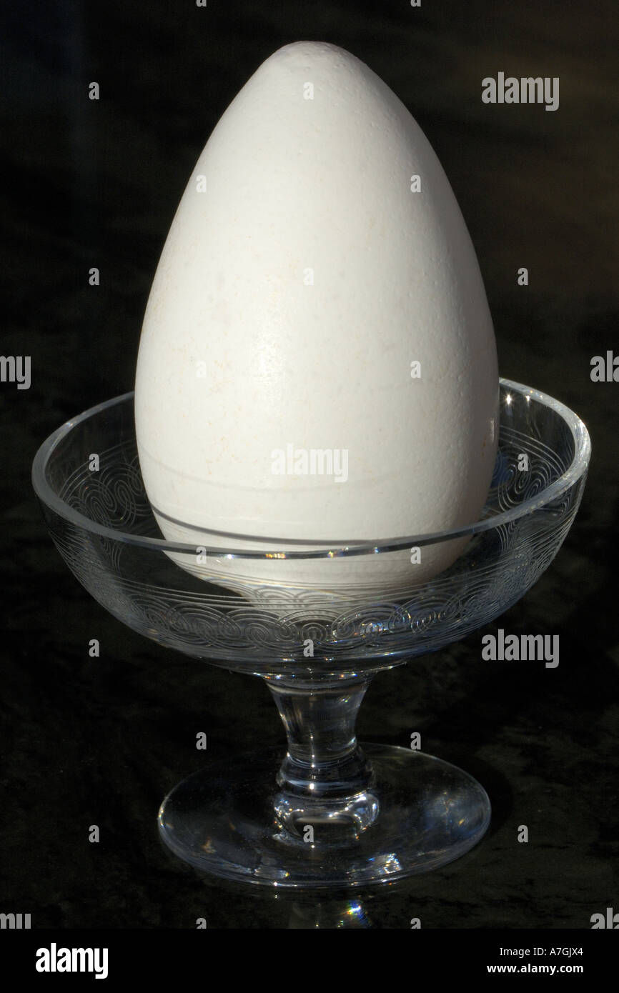 Upright Egg in Bowl Stock Photo - Alamy