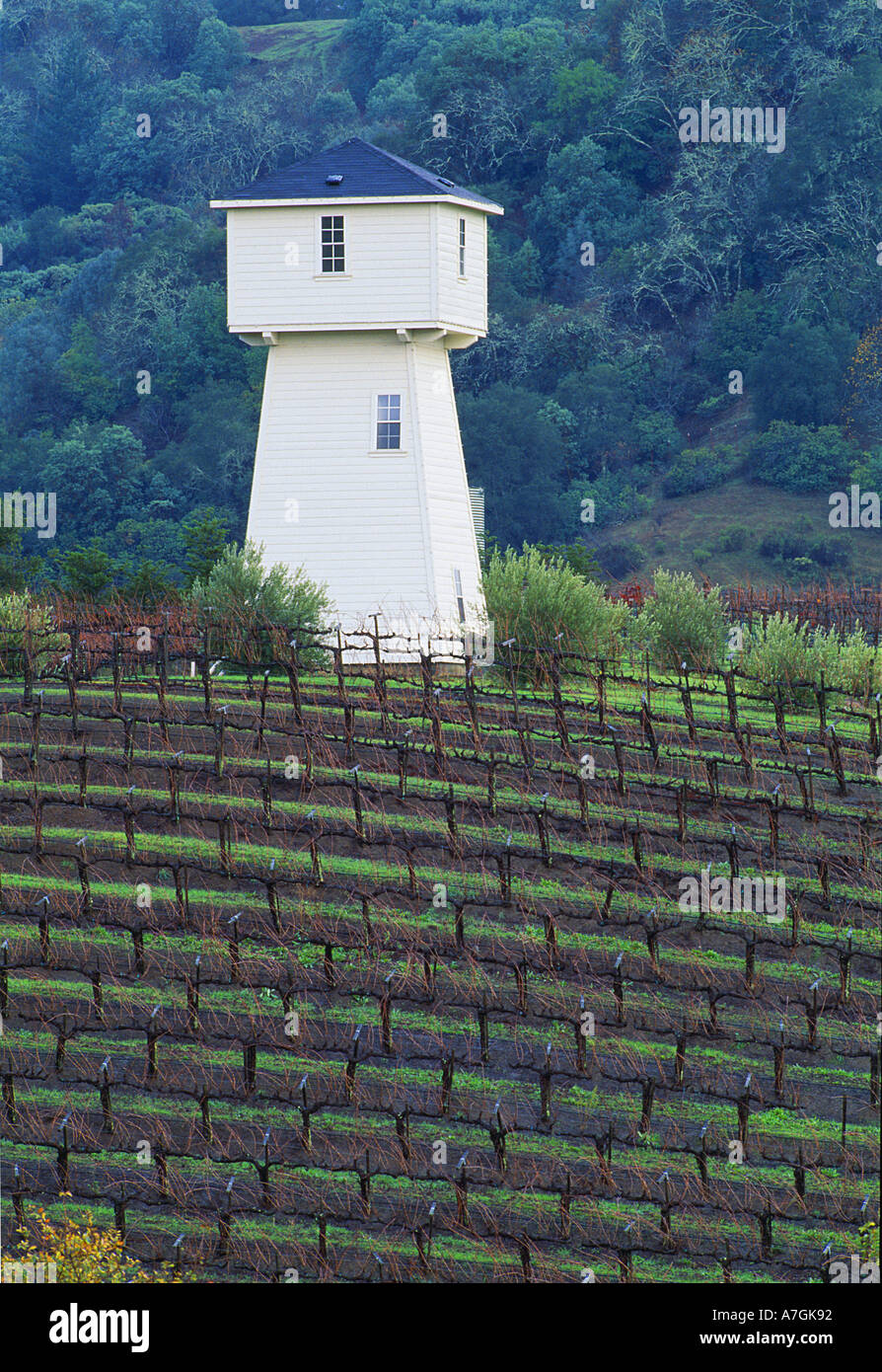 Silver oak vineyard hi-res stock photography and images - Alamy