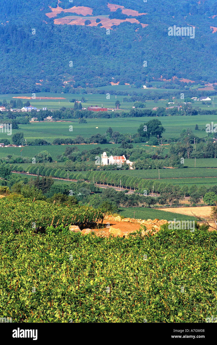 USA, California, Napa, wine country, an overview of the Napa Valley ...