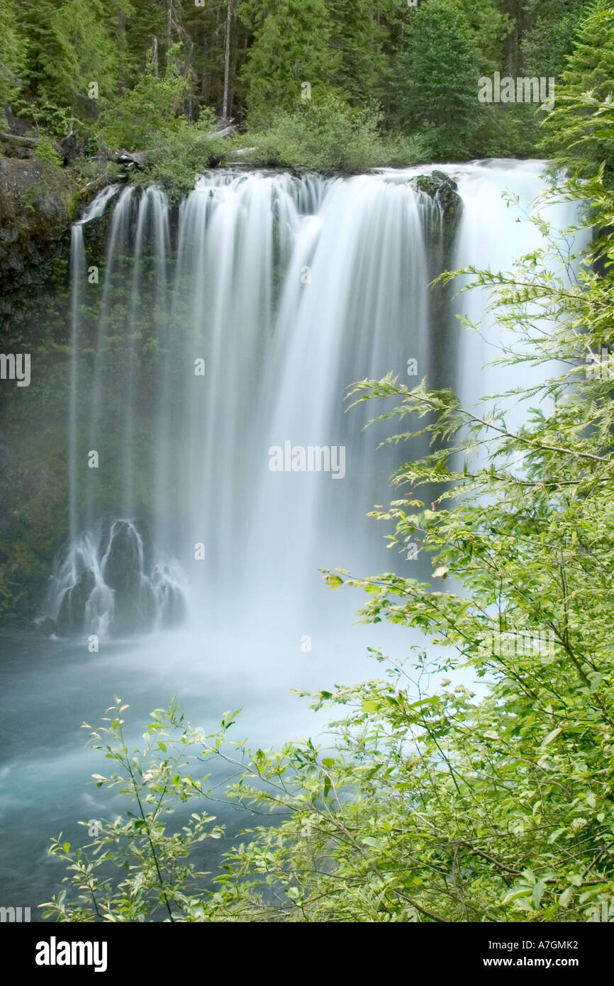 Sahalie Falls; Cascade Mountains, Oregon Stock Photo - Alamy