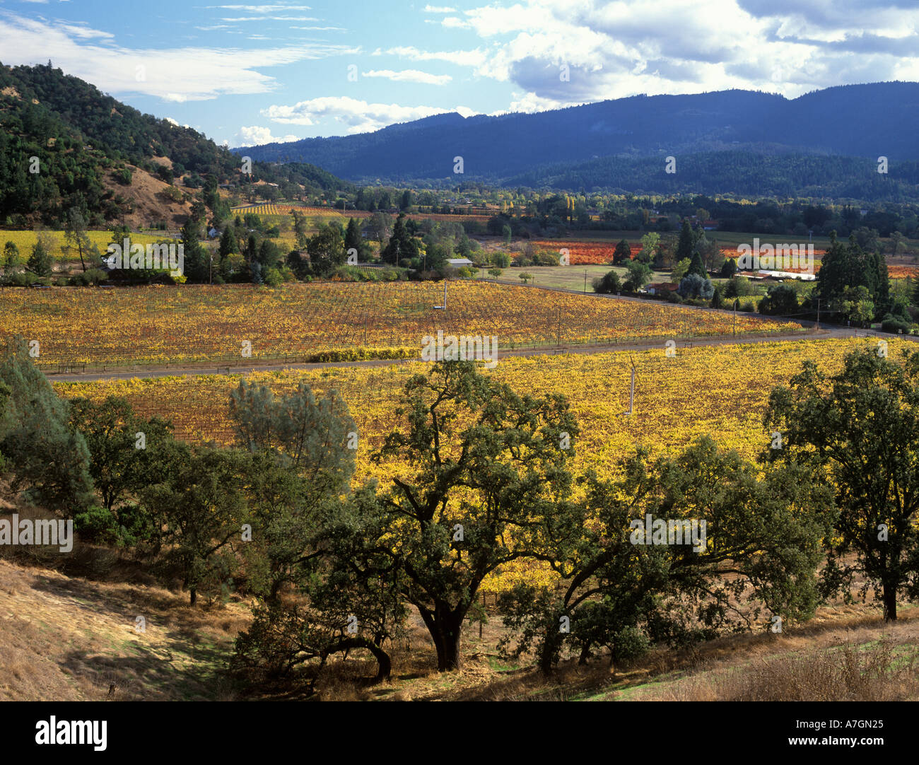California, Napa Valley, Calistoga. Silverado Trail turns into Highway ...