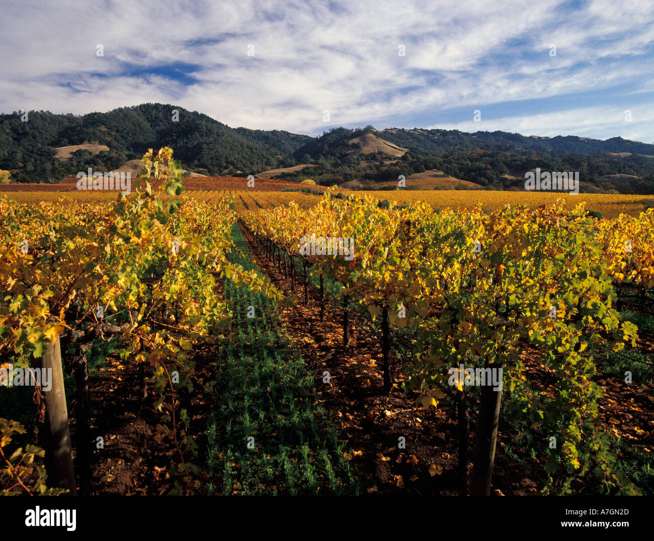 Grapevine mtns hi-res stock photography and images - Alamy