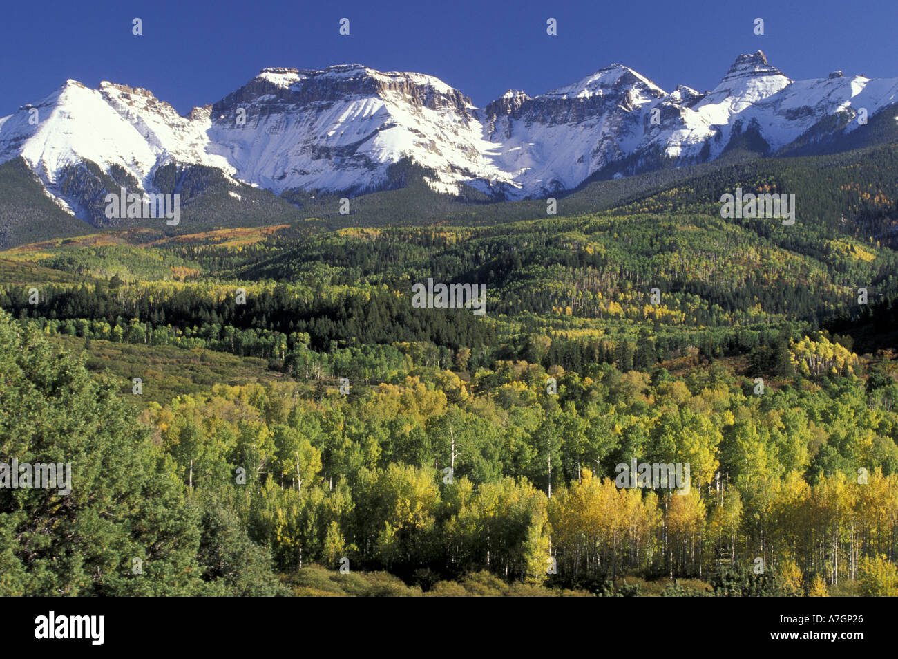 Mt sneffels wilderness hi-res stock photography and images - Alamy