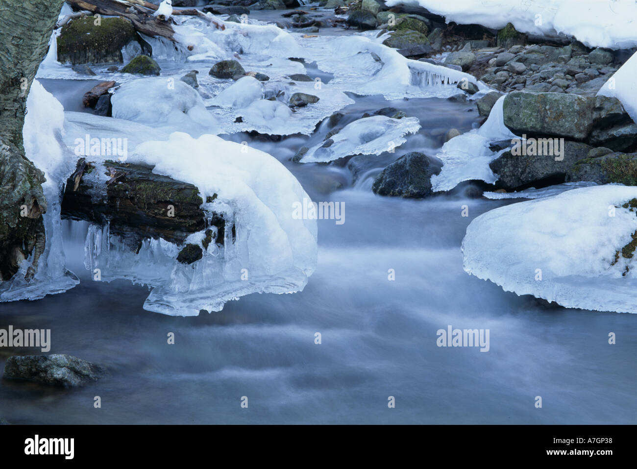 North America, U.S.A., Colorado, Rocky Mountain National Park, Frozen ...