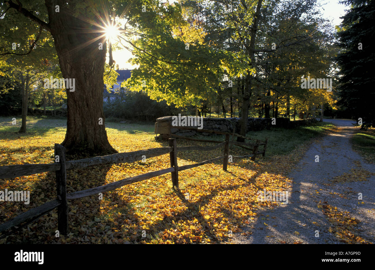 Milford connecticut house hi-res stock photography and images - Alamy