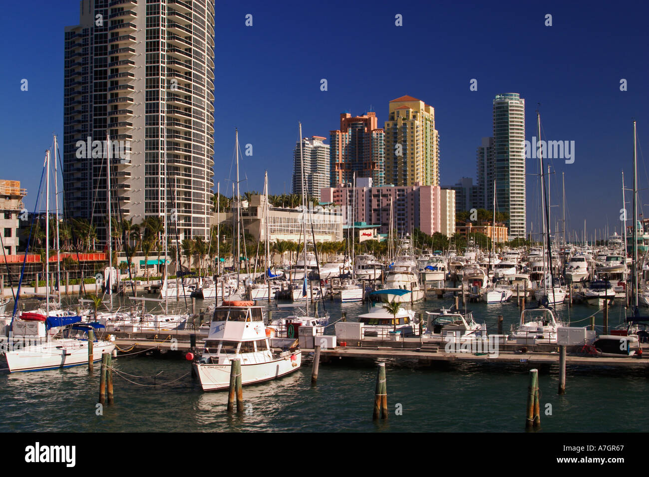 Luxury high-rise condominiums, Miami Beach, Florida Stock Photo - Alamy