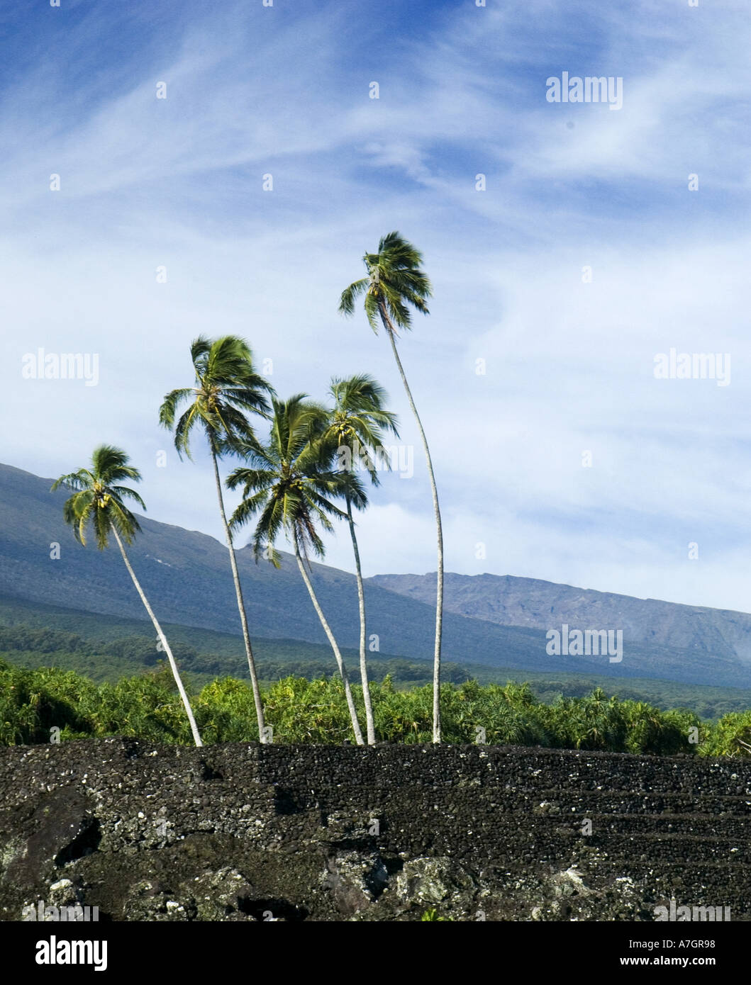 Piilani heiau hi-res stock photography and images - Alamy