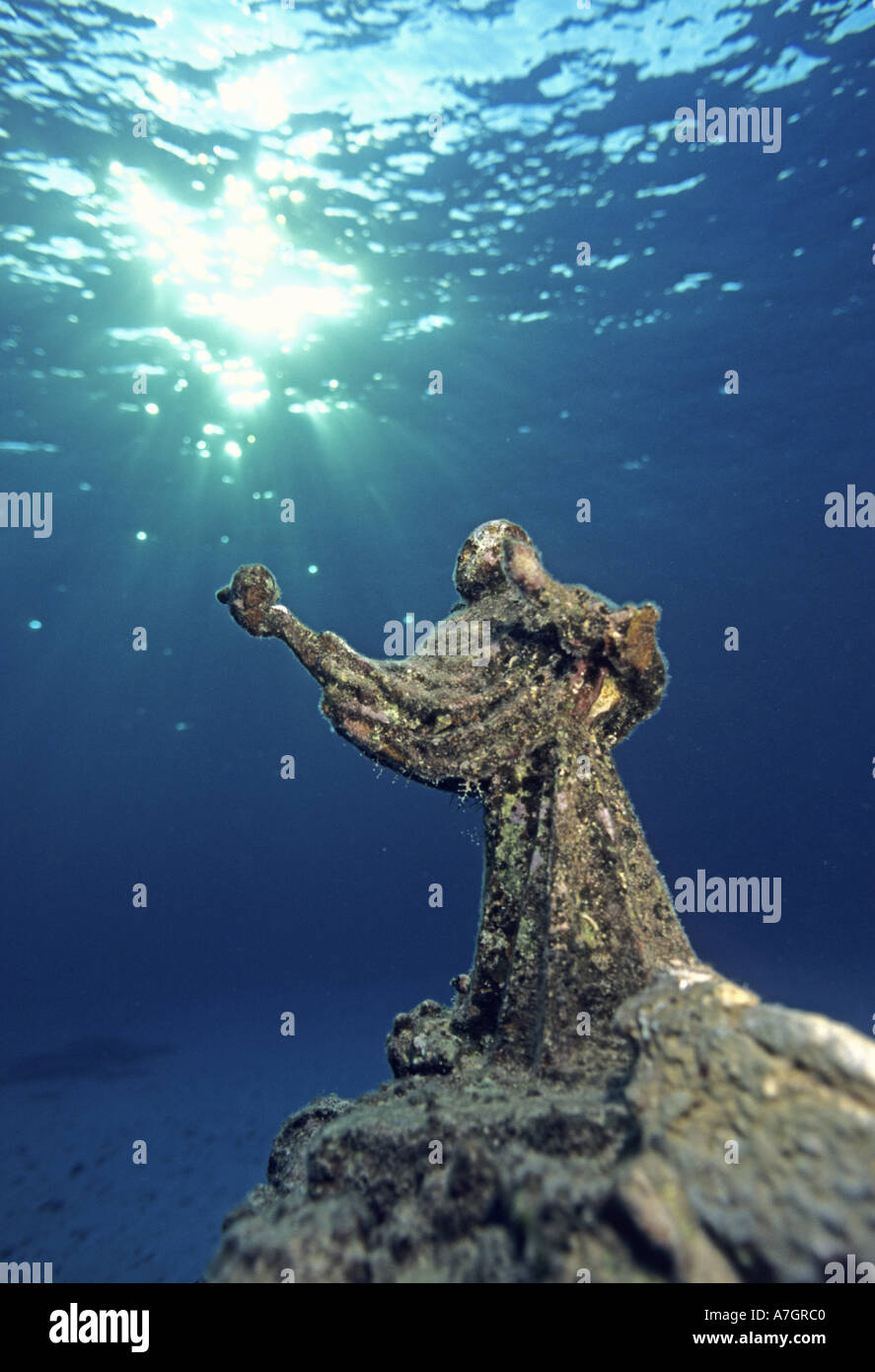 Christ Of The Abyss Wallpaper