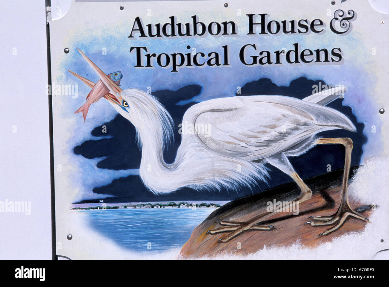 Audobon hi-res stock photography and images - Alamy