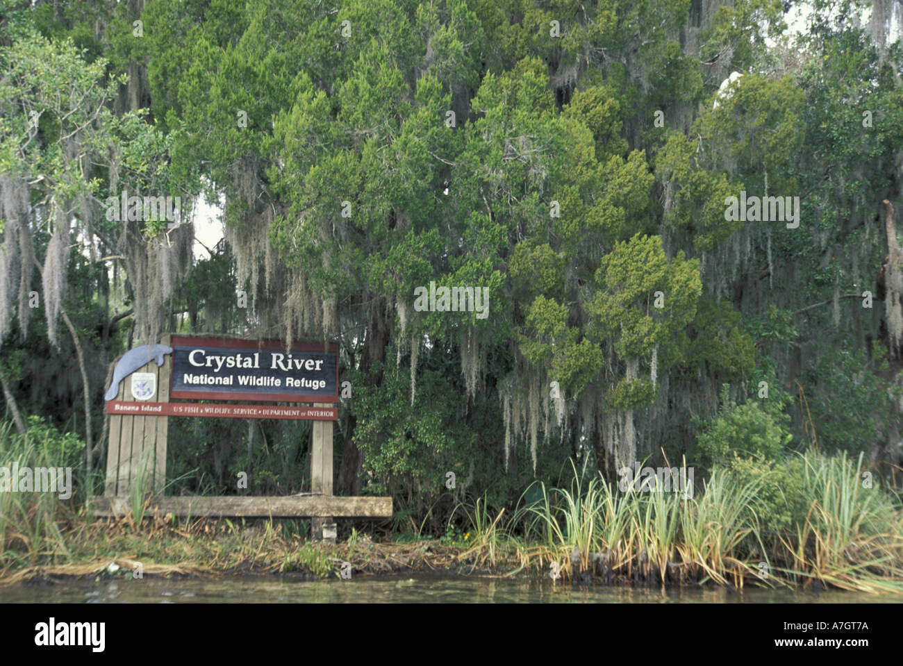Crystal river preserve park florida hi-res stock photography and images ...