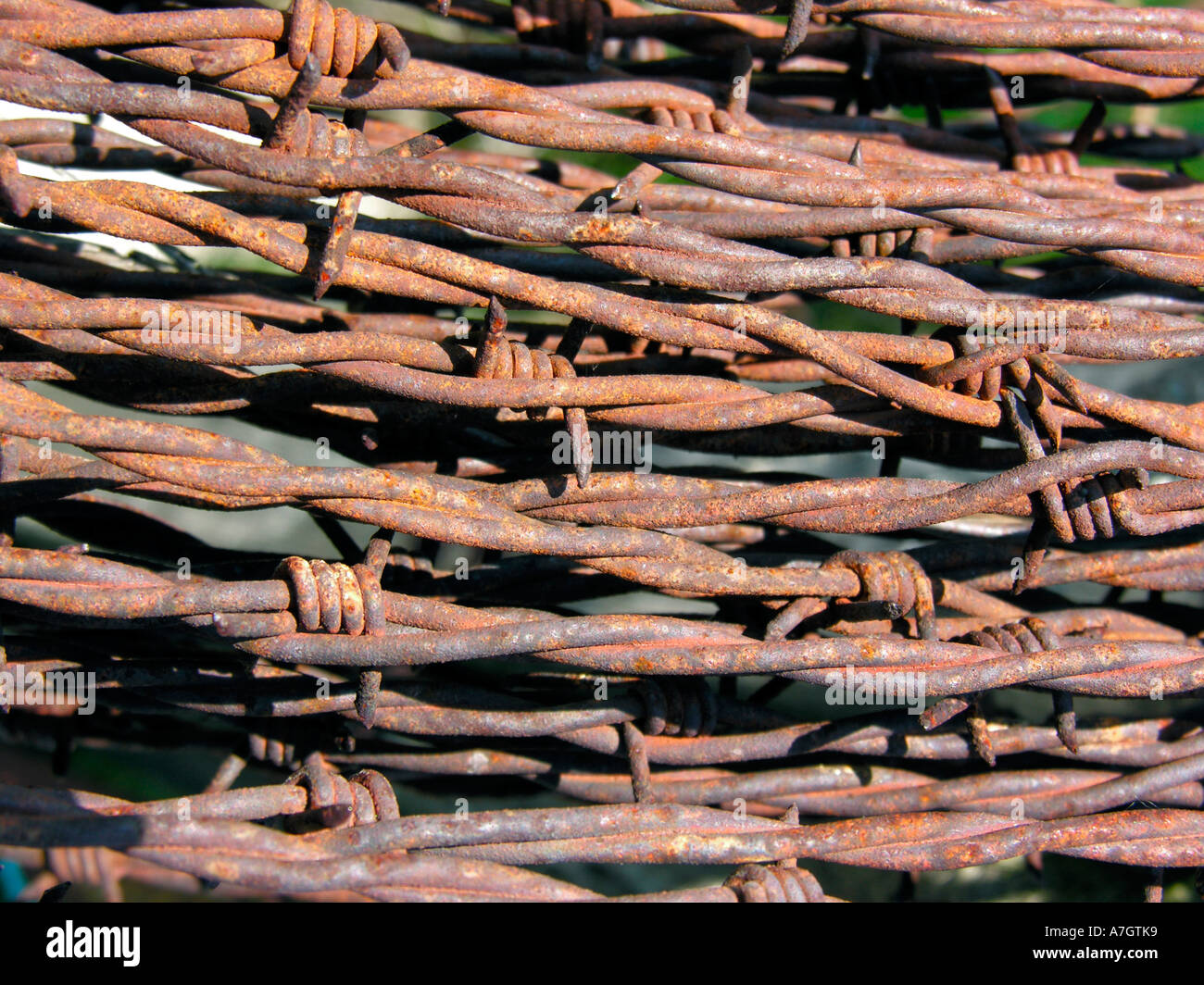 Old roll rusty barbed wire hi-res stock photography and images - Alamy