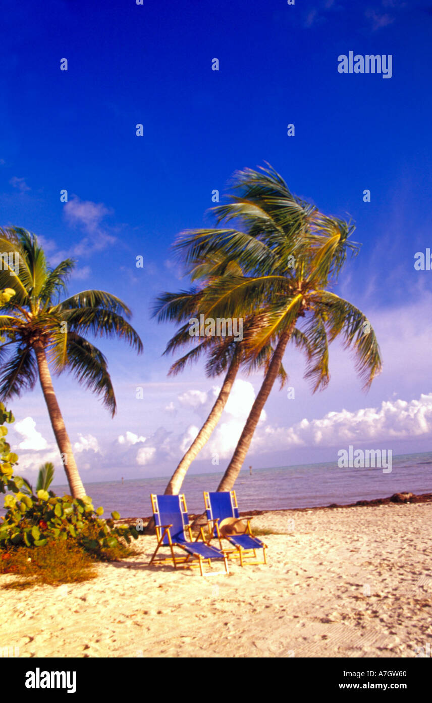 NA, USA, Florida, Florida Keys, Palm Trees & Chairs on Beach Stock Photo - Alamy