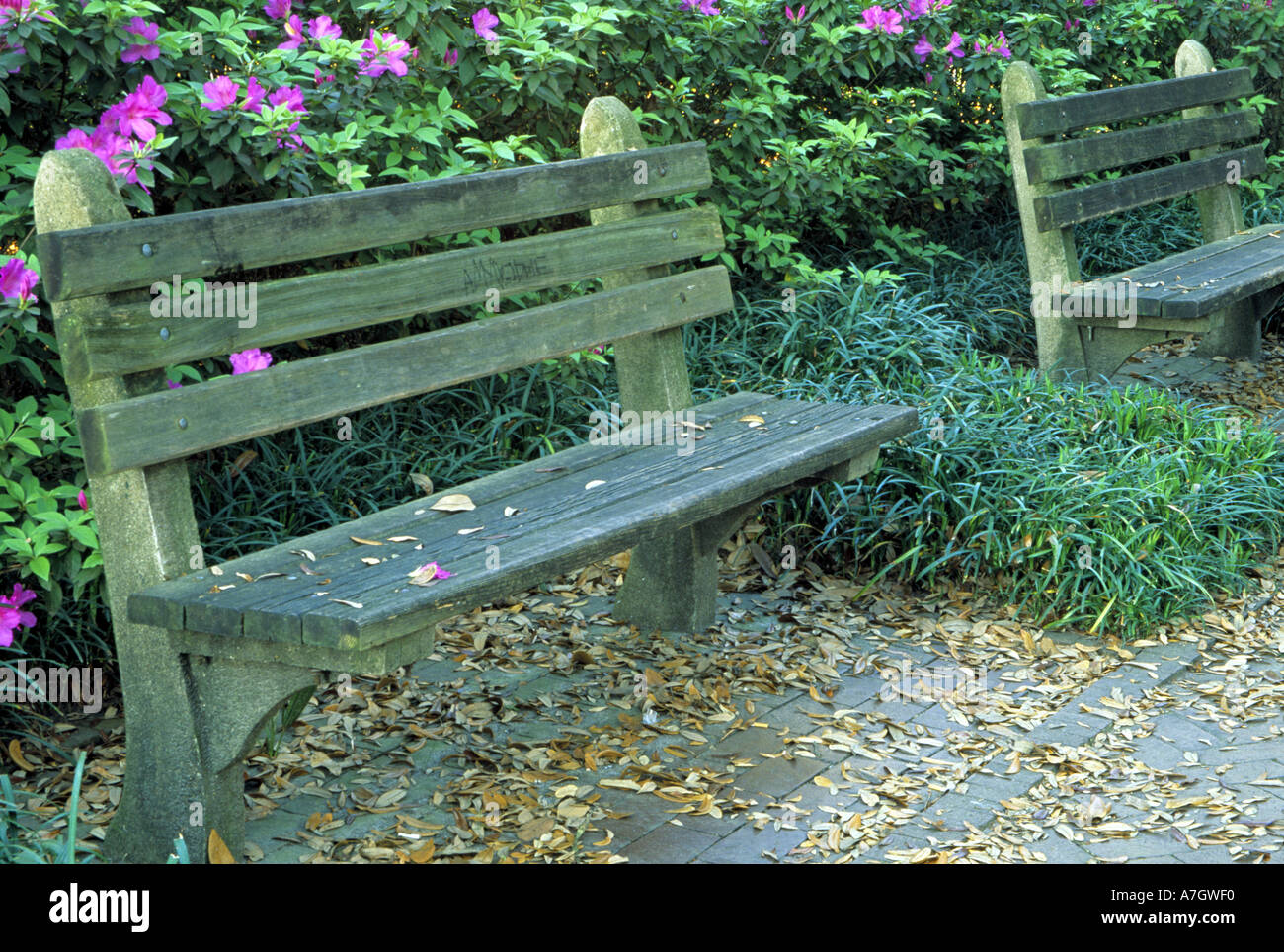 N.A. USA, Georgia, Savannah. Park benches in town square Stock Photo ...