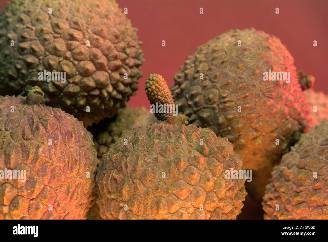 fruit of lychee litchi lichi Stock Photo - Alamy