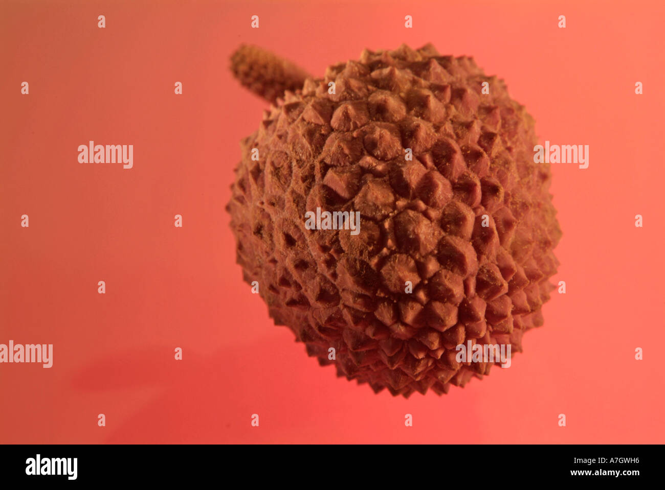 fruit of lychee litchi lichi Stock Photo - Alamy