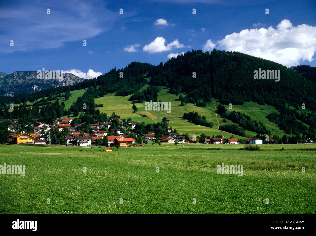 Farm farmland farmstead crop cropland Buching Bavaria Germany Europe ...