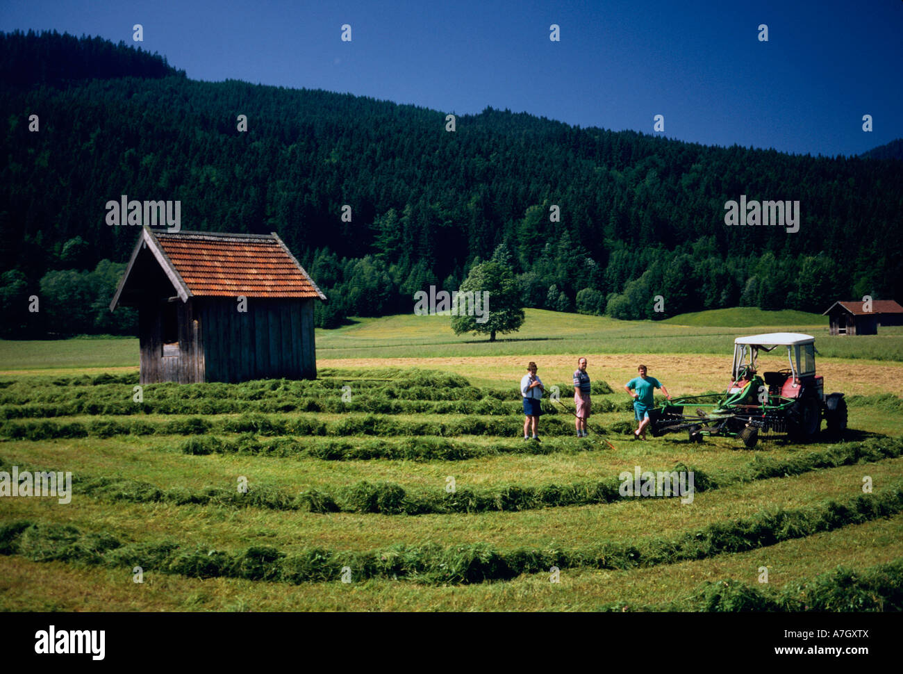 German people, farmers, harvesting field, family farm, farmstead ...