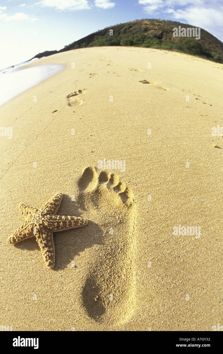 USA, Hawaii, Maui, Makena Beach, Footprint and starfish in sand Stock ...