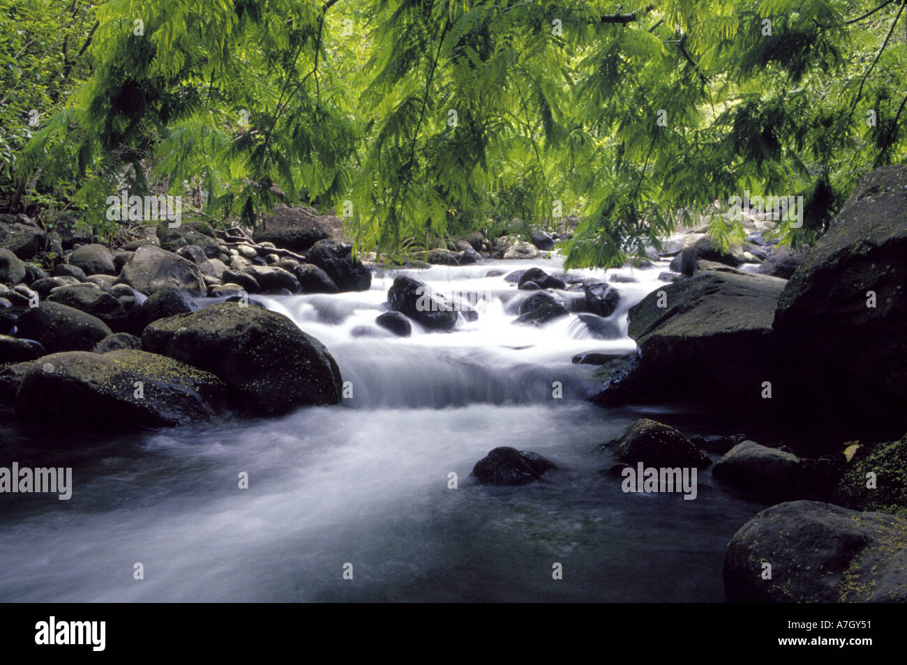 Iao valley river hi-res stock photography and images - Alamy