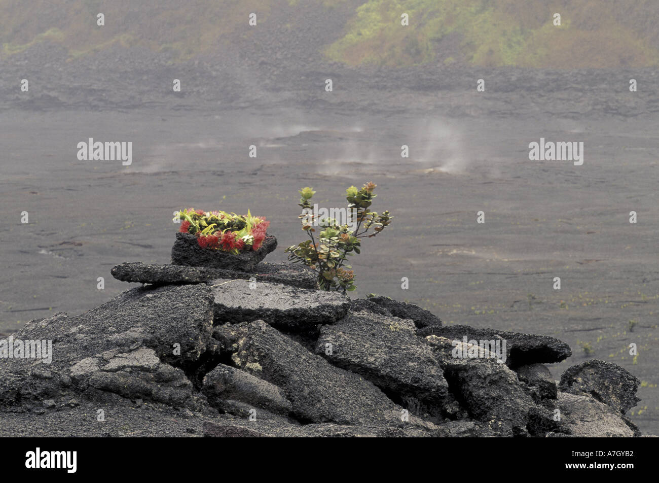 USA, Hawaii, Big Island, Hawaii Volcanoes NP, Wreath of Ohi'a Iehua ...