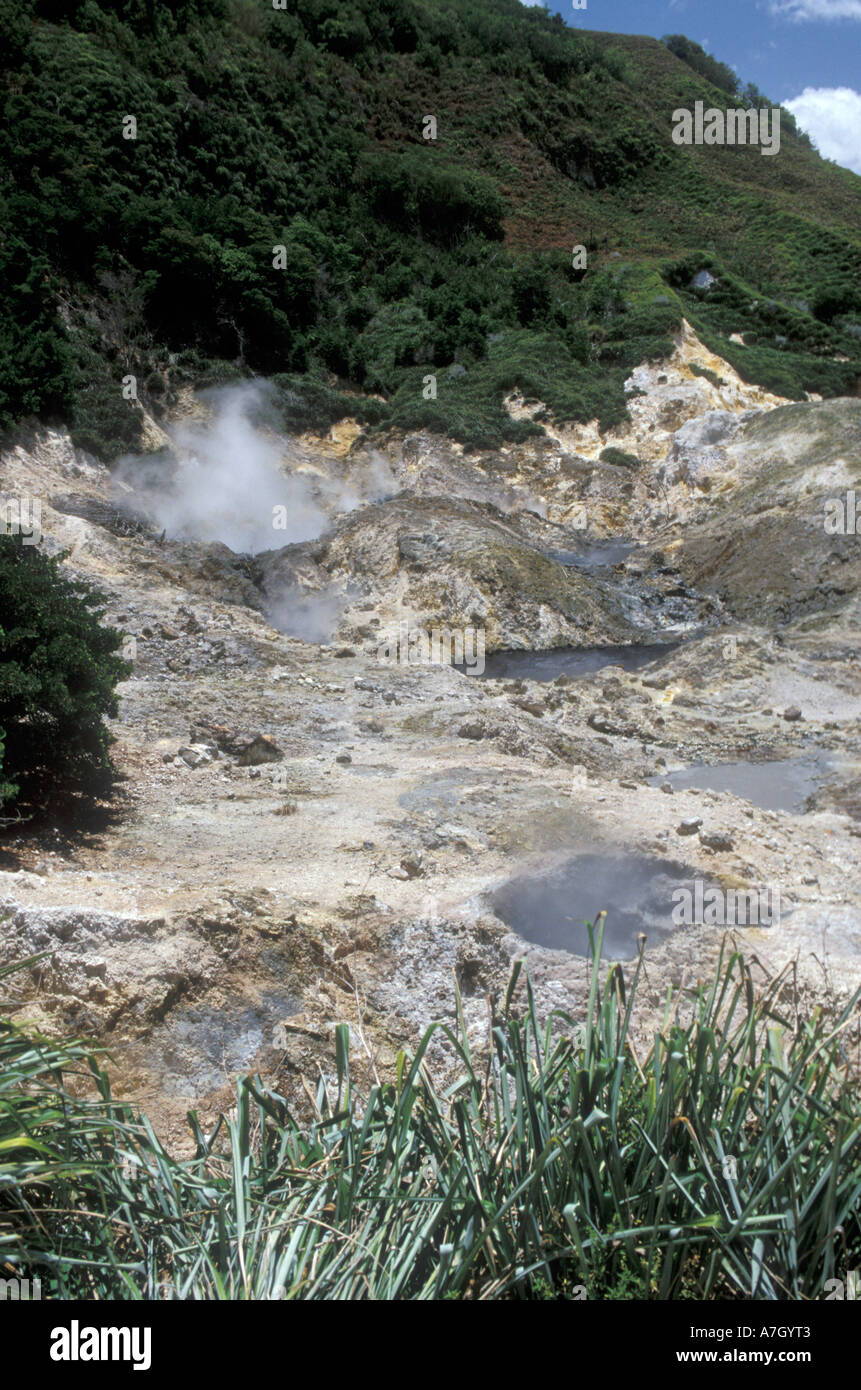 Soufriere volcano caldera, St. Lucia Stock Photo - Alamy
