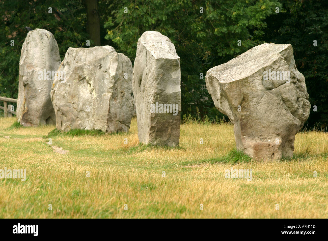 Stones of the ancient neolithic stone circle at Avebury Wiltshire Stock ...